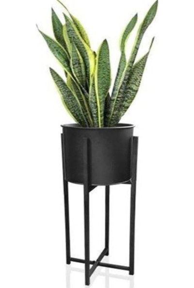 İpek Home Living Metal Siyah Dekoratif Ayaklı Saksı 25X64 cm İpek Home Living Metal Siyah Dekoratif Ayaklı Saksı 25X64 cm