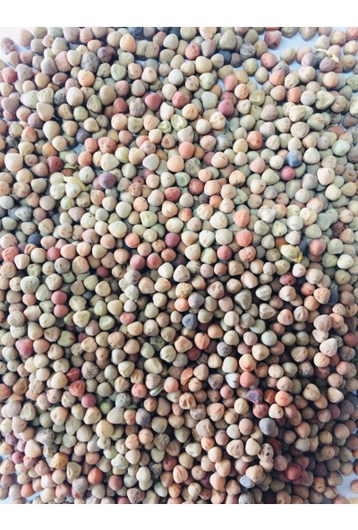 Burçak Tohumu ve Güvercin Yemi 1 kg