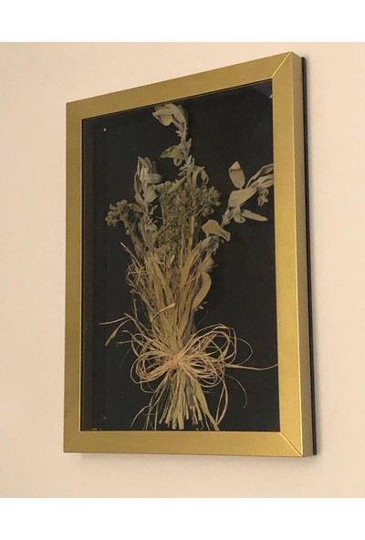 Ronax Home Doğanın Esintisi