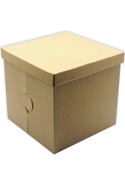 Feza Kutu 31X31X30 Kraft Pasta Kutusu (10 Adet) Feza Kutu 31X31X30 Kraft Pasta Kutusu (10 Adet)