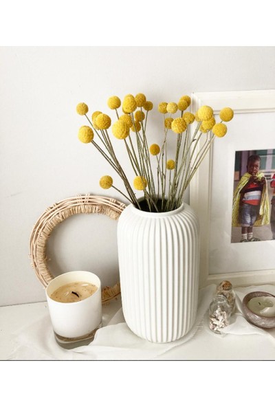 Craspedia Ithal Şoklanmış Çiçek