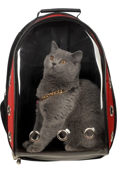 Ksburda Kedi Taşıma Çantası Kırmızı Şeffaf Kırılmaz Astronot Kedi Çantası Kedi Seyehat Çantası 42X22X33 cm Kedi Çantası V1 Ksburda Kedi Taşıma Çantası Kırmızı Şeffaf Kırılmaz Astronot Kedi Çantası Kedi Seyehat Çantası 42X22X33 cm Kedi Çantası V1