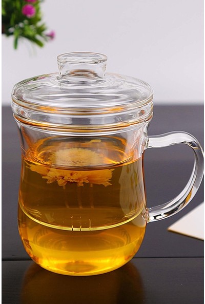 Borosilikat Cam Kupa 500 ml