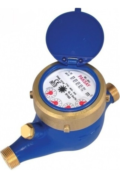 Paksay Ev ve Iş Yeri Tipi Su Saati - Su Sayacı Rekorlu Paksay Ev ve Iş Yeri Tipi Su Saati - Su Sayacı Rekorlu