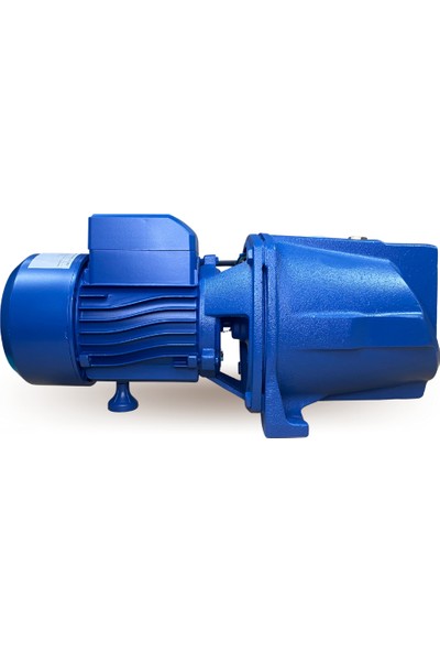 Deniz Otomatik Su Pompası Bakır Sargı Pjwm 1 Hp 1'' Parmak