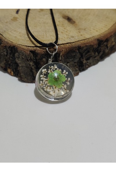 Ascellus Yaşayan Kolye Ascellus Yaşayan Kolye