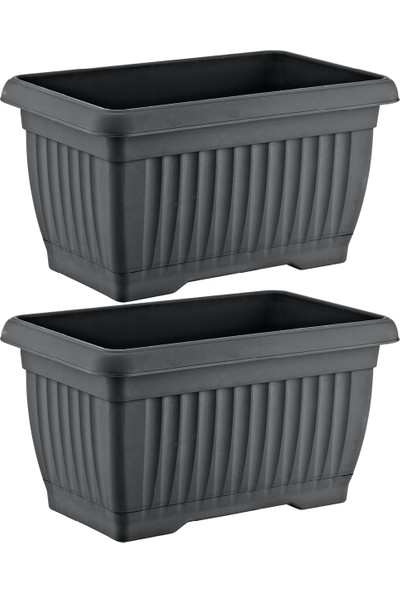 Localshop Antrasit Gri 6 Lt. Dikdörtgen Botanik Saksı Çiçek Saksısı 2 Adet