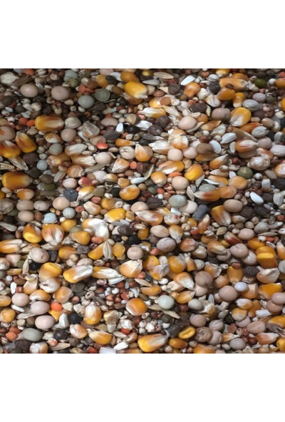 Klasik Mix 25 kg Güvercin Yemi Klasik Mix 25 kg Güvercin Yemi