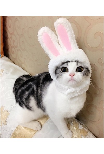 Pet Home Tavşanlı Kedi Şapkası (Yurt Dışından)