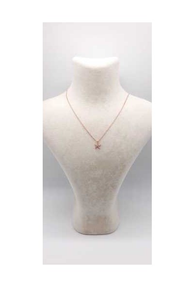 925K Altın Kaplama Deniz Yıldızı Taşlı Gümüş Kolye 925K Altın Kaplama Deniz Yıldızı Taşlı Gümüş Kolye