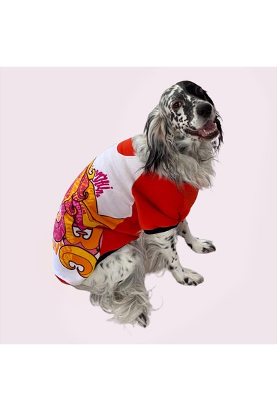 Kemique Cute Girl Special Sweatshirt Orta ve Büyük Irklar Için Kemique Cute Girl Special Sweatshirt Orta ve Büyük Irklar Için