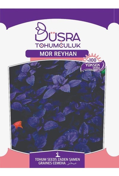 Büşra Mor Reyhan