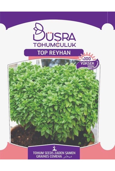 Büşra Top Reyhan