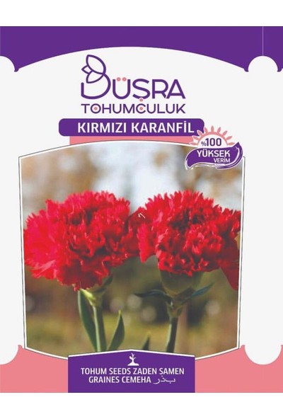 Büşra Kırmızı Karanfil