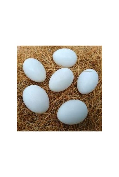 Evcil Sanal Market Plastik Sahte Tavuk Yumurtası (Beyaz) Evcil Sanal Market Plastik Sahte Tavuk Yumurtası (Beyaz)