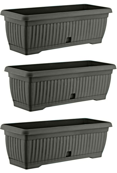 Localshop Antrasit Gri 11LT Uzun Botanik Saksı Çiçek Saksısı 3 Adet US510