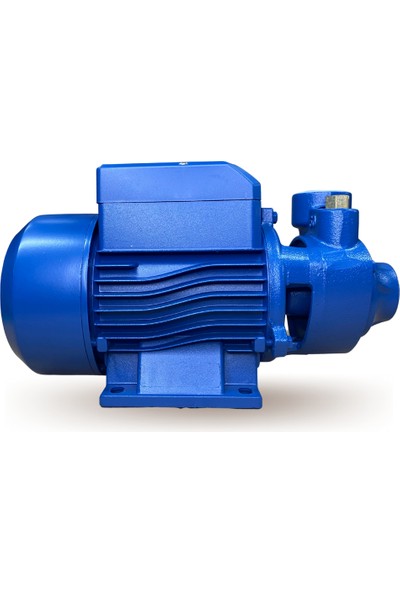 Deniz Otomatik Su Pompası Bakır Sargı PKM60 0.5 Hp 1'' Parmak