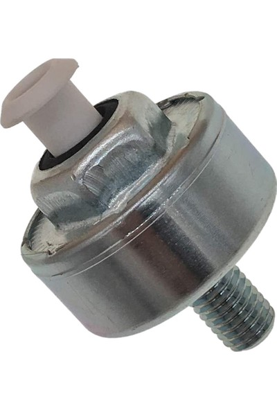 Blesiya Chevrolet 2500 1999-2006 Için Hafif 213362'YI Vurun Blesiya Chevrolet 2500 1999-2006 Için Hafif 213362'YI Vurun