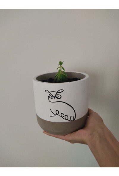 She Dekor Büyük Boy Beton Saksı Hediyelik Ev Ofis Dekor Dekorasyon She Dekor Büyük Boy Beton Saksı Hediyelik Ev Ofis Dekor Dekorasyon