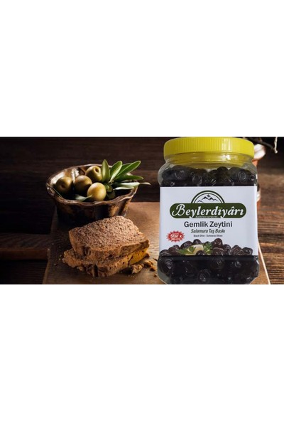 Beyler Diyarı Star x Zeytin