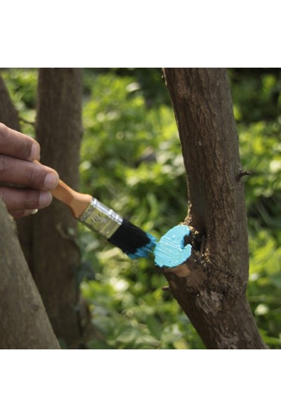 GMT Blue-Guard Sıvı Aşı ve Budama Macunu 250 gr