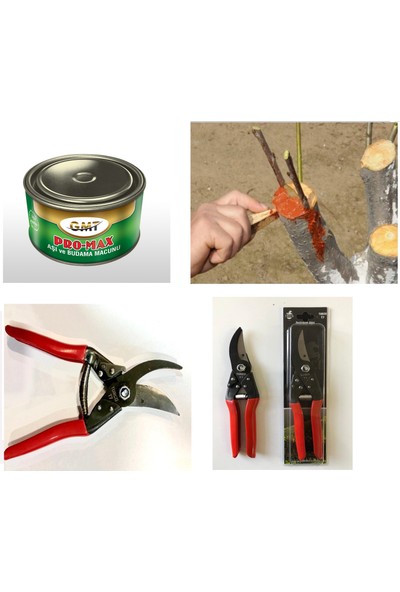 Turco T7 Budama Makası ve 250 gr Pro-Max Macun