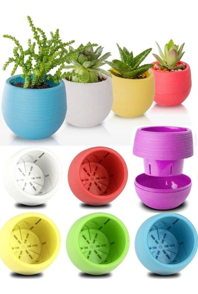 MasterCar Elvan Kaktüs ve Sukulent Saksısı 0,13 Litre 10'lu Set MasterCar Elvan Kaktüs ve Sukulent Saksısı 0,13 Litre 10'lu Set