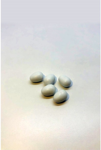 Poyraz Pett Kanarya Muhabbet Plastik Sahte Kuş Yumurtası Poyraz Pett Kanarya Muhabbet Plastik Sahte Kuş Yumurtası