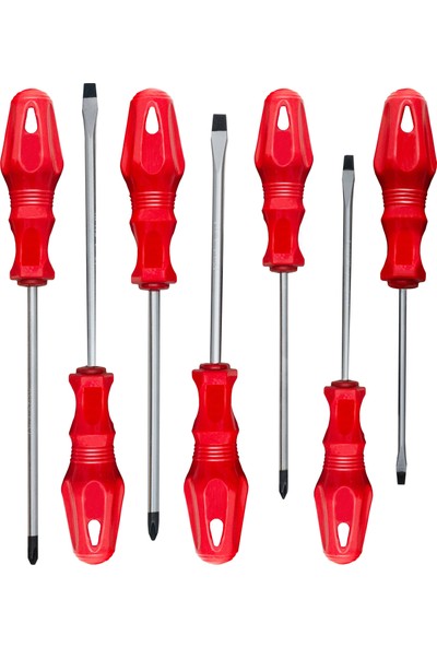 Bizhan Düz ve Yıldız Tornavida 6'lı