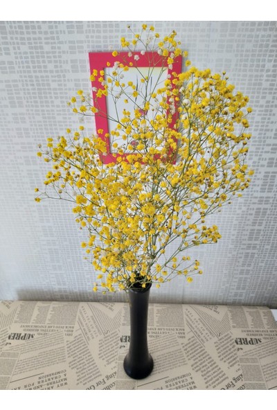 Yeni Yasemin Çiçekçilik Cipso