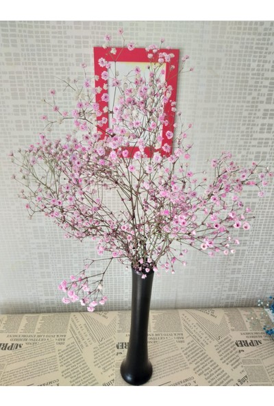 Yeni Yasemin Çiçekçilik Cipso