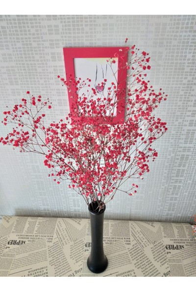 Yeni Yasemin Çiçekçilik Cipso