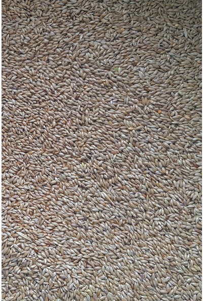 Poyraz Pett Vivid Sade Kanarya Yemi Aspur 2 kg