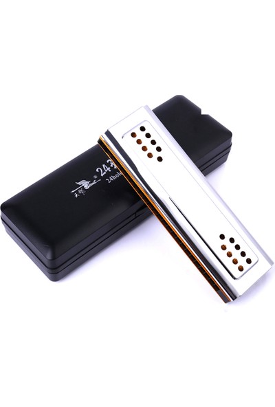 Allfun Çift Taraflı 24 Delikli Armonika Mızıka (Yurt Dışından)