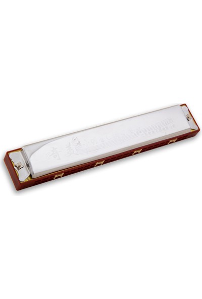 Allfun 24 Delikli Armonika Mızıka (Yurt Dışından)