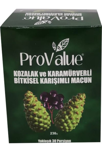 Provalue Kozalak ve Karamürverli Bitkisel Karışımlı Macun 230GR