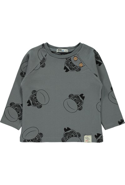 Civil Boys Erkek Çocuk Sweatshirt 2-5 Yaş Gri