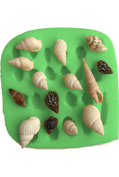 Başak Kimya Deniz Kabukları Set Silikon Kalıp EP38
