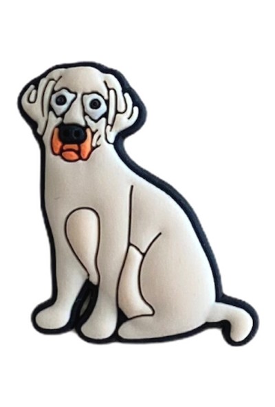 İnvitro Medikal Hayvancık Desenli Crocs Terlik Süsleri P64