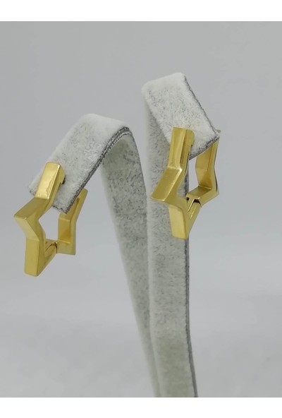 Eke Butik Altın Kaplama Çelik Yıldız Küpe