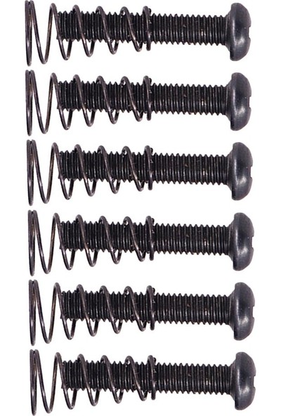 Perfk 6 Parça Elektro Gitar Köprüsü Tailpiece Sabitleme Vidaları + Yaylar Siyah( Yurt Dışından) Perfk 6 Parça Elektro Gitar Köprüsü Tailpiece Sabitleme Vidaları + Yaylar Siyah( Yurt Dışından)