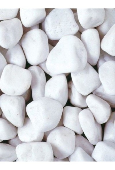 Doğuş Bahçe Beyaz Dolomit Taş 2 kg 4-6 cm Dere Taşı Çakıl Taşı Saksı Taşı Akvaryum Teraryum Taşı Bahçe Taşı Doğuş Bahçe Beyaz Dolomit Taş 2 kg 4-6 cm Dere Taşı Çakıl Taşı Saksı Taşı Akvaryum Teraryum Taşı Bahçe Taşı