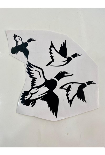 Dünya Basım Çoklu Kuş Sticker DB-2004