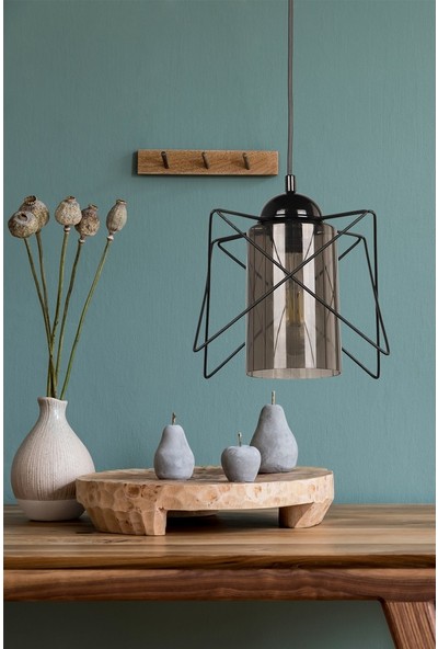 Begüsa Modes Tekli Siyah-Füme Akrilik