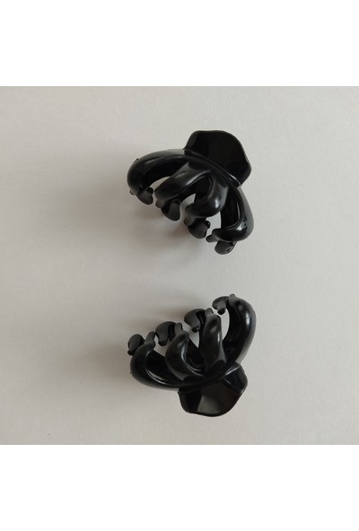 2k E-Ticaret Kadın Küçük Boy Mandal Toka Seti 2'lı