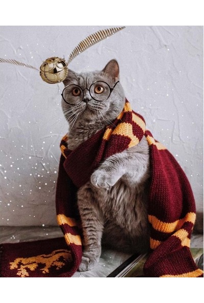 Hobi Tedarik Atkılı Kedi Sayılarla Boyama Seti Çerçevesiz Duvar Sticker 50 x 65 cm