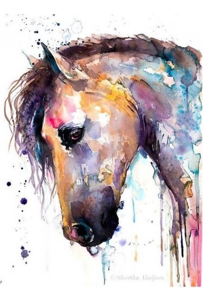 Hobi Tedarik Renkli At Renkli Sayılarla Boyama Seti Çerçeveli 90 x 110 cm Hobi Tedarik Renkli At Renkli Sayılarla Boyama Seti Çerçeveli 90 x 110 cm