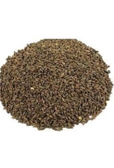 Tarım Garaj Faselya-Arı Otu Tohumu (Oğul Otu)-1 kg