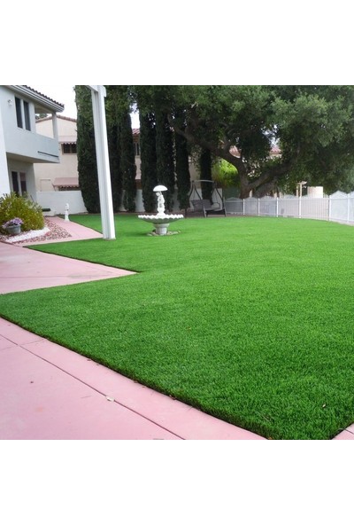 İNTFA Çim Tohumu 6 Mix Grass Karışımı - 10 kg