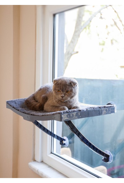 Ata Home Cama Asılan Kedi Yatağı Vantuzlu Ata Home Cama Asılan Kedi Yatağı Vantuzlu